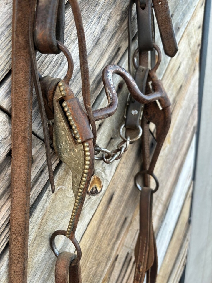 horse bit solid port roping bit | eBay