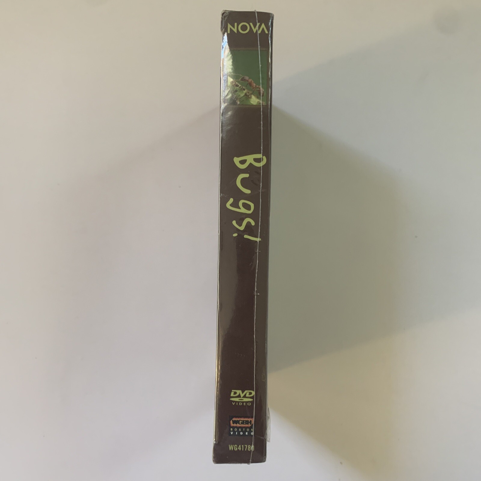 Bugs! [3 Disc Set (DVD, 2007, Nova/WGBH Boston Video) Factory Sealed ...