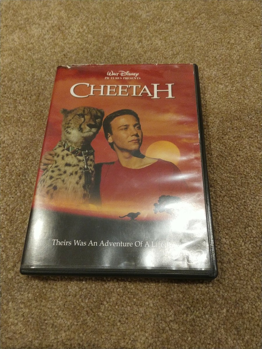 Lucy Deakins Cheetah