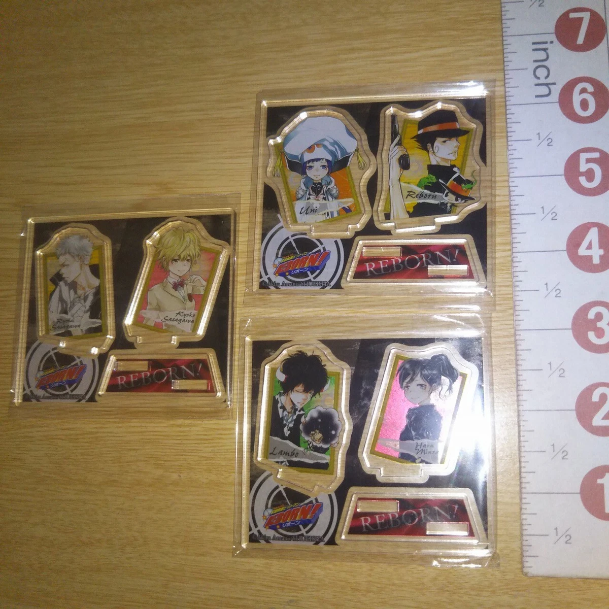 Katekyo Hitman Reborn Uni