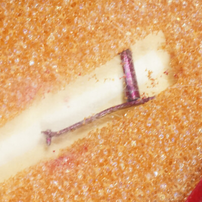 NOS Astatic Diamond Needle N31-1d for K-J A-67LP 445 A-182 658 W-39MGS ...