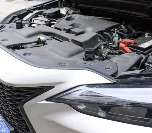 Black Front Engine Hood Spring Protection Cover Trim For Lexus RX500h ...