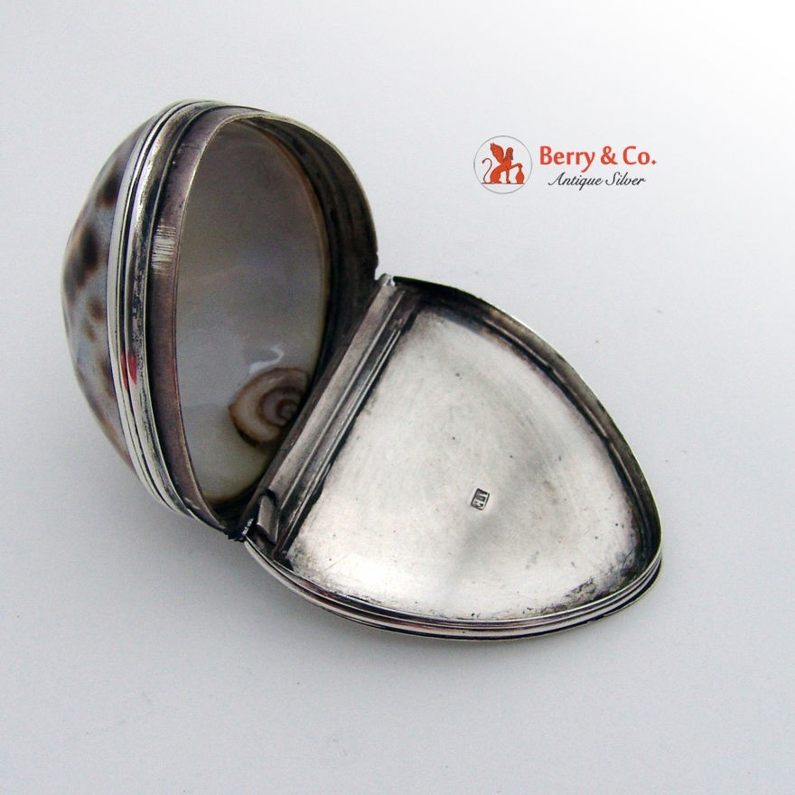 Irish Snuff Box Cowrie Shell John Egan 1800 Sterling Silver Mono PHR | eBay