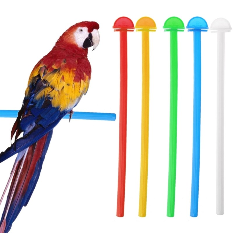 Bird Perch Plastic Standing Rod Pet Birds Grinding Pecking Toy for ...