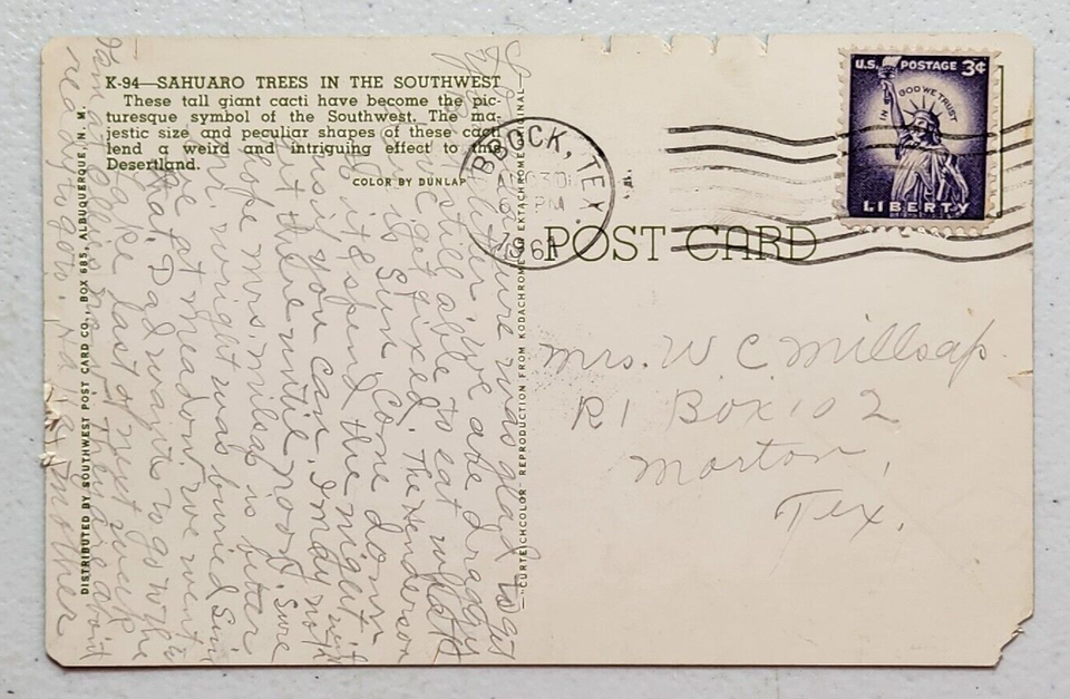 K-94 Sahuaro Trees in the Southwest Sahuaro, Sonora, Mexico Postcard | eBay