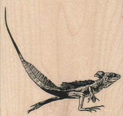 Leapin' Lizard (Large) 3 x 2 3/4" Rubber Stamp, Lizard Stamp, Reptile ...