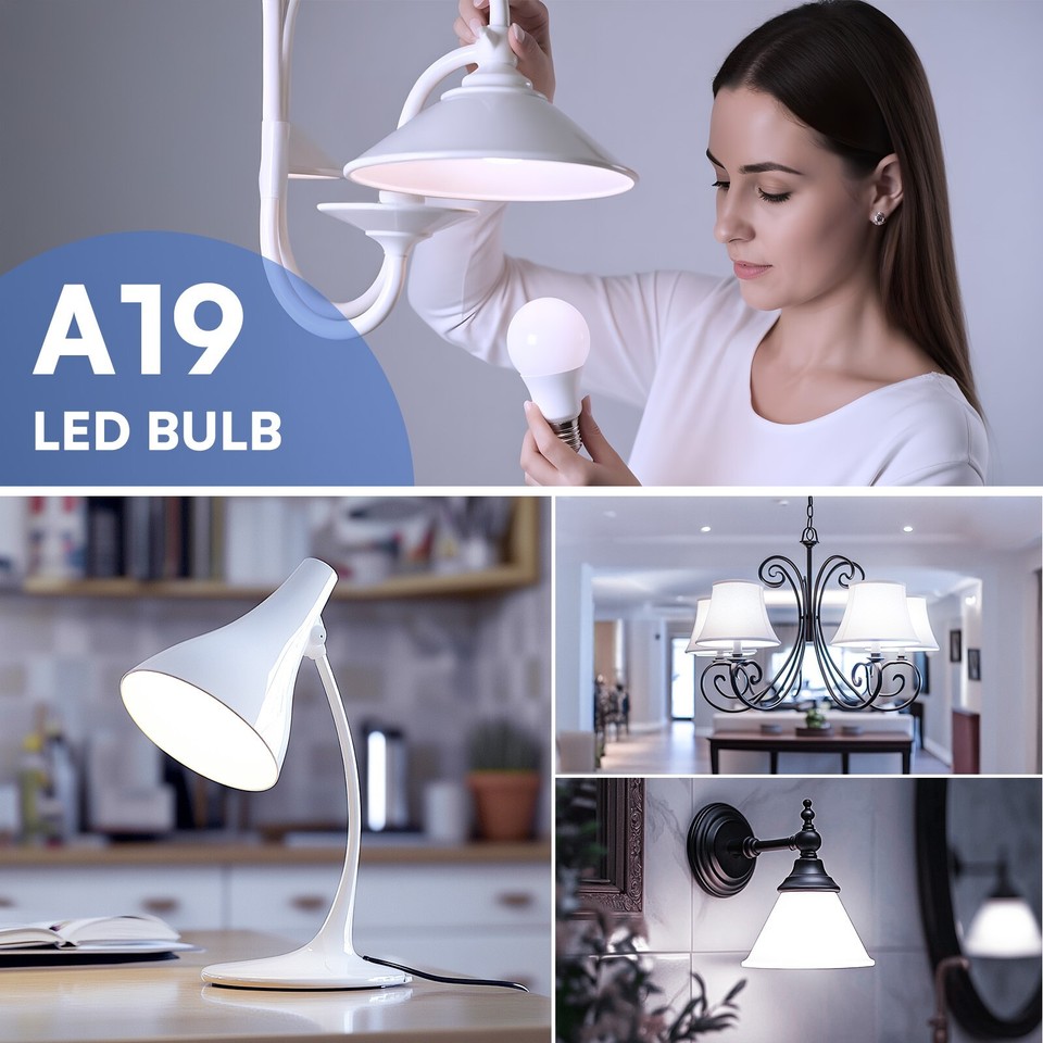 100W Equivalent LED Light Bulb 1500 LM A19 5000K Daylight NonDimmable ...