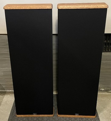 DCM Timeframe TF250 Slim Profile Tower Speakers | eBay