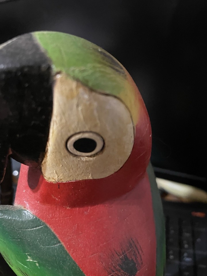 Hand Carved Hand Painted Wooden Parrot With Puerto Rico On The Base. 12 ...