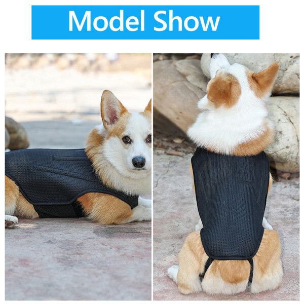 Dog Back Brace Arthritis Spinal Support Dogs Back Vest 5 Soft Metal ...