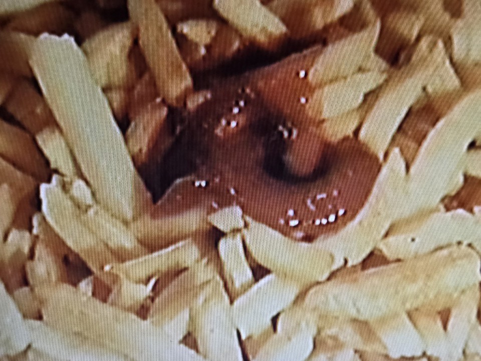 16mm Special Edition Barbra Feldon Variety Show #23 RARE, NOT ON IMDB ...