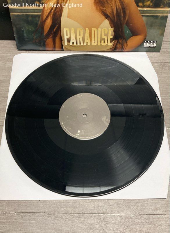 Lot of 2 Vinyl LPs Records Lizzo Cuz I Love You & Lana Del Rey Paradise ...