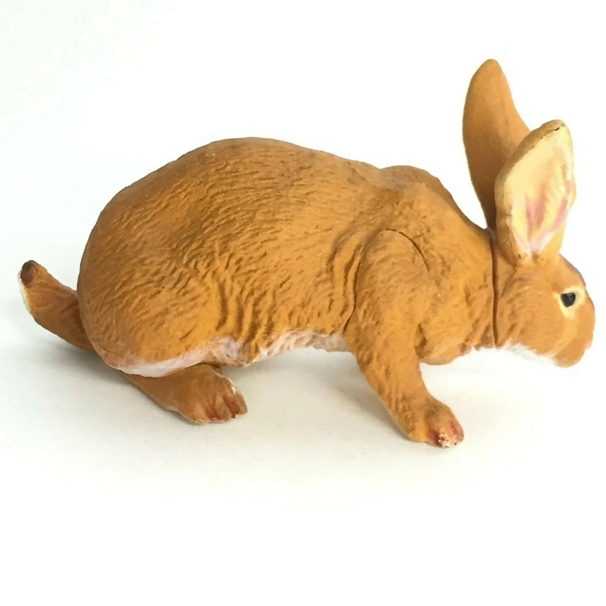 Fawn Flemish Giant Rabbit