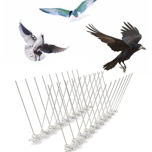 60x Steel Bird Spikes Pigeon Deterrent Anti Cat Possum Fence Mouse Pest ...