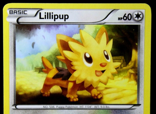 Pokémon TCG Lillipup Black and White 81/114 Regular Common for sale ...
