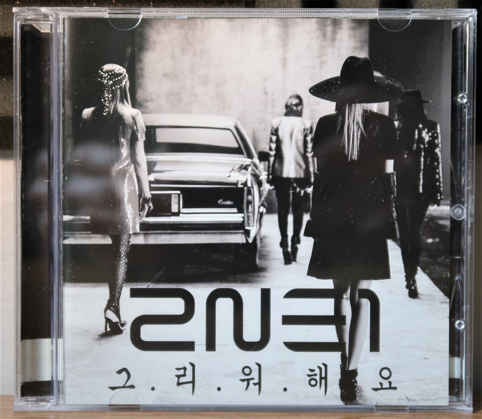 2ne1 Missing You
