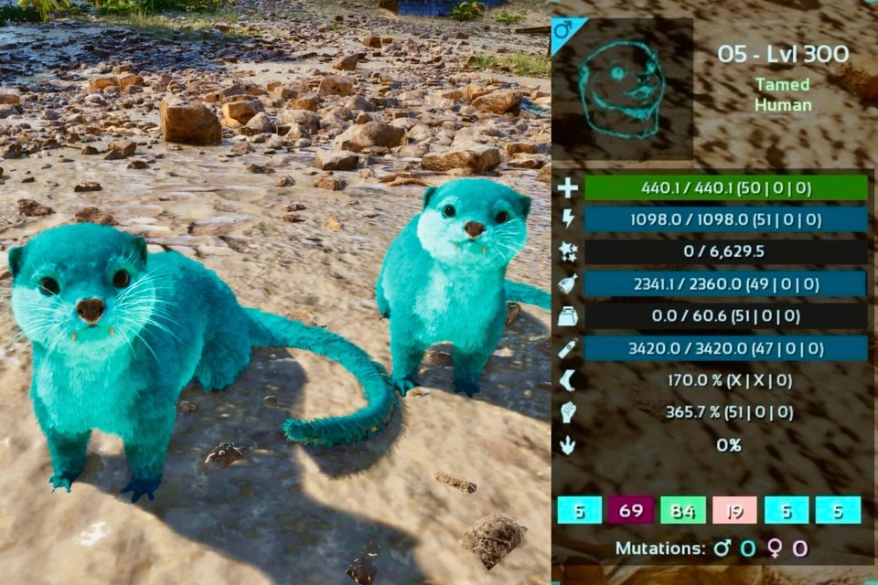 ark survival ascended pve Full Color Otter Pair, Level 300+ | eBay