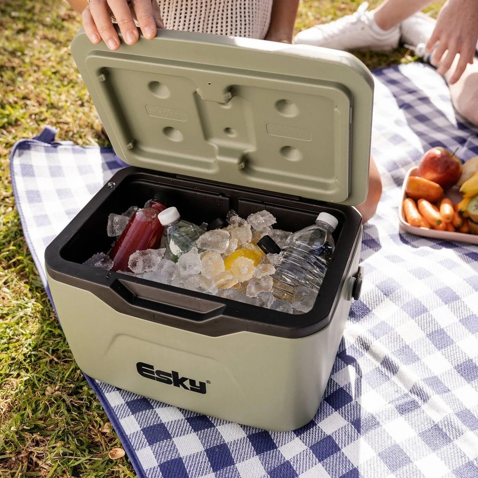 Esky 10L Silver Ash Raptor Hard Cooler | eBay Australia