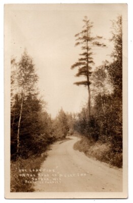 WI Wisconsin Sayner Road To Musky Inn Scene Vilas County Postcard RPPC ...