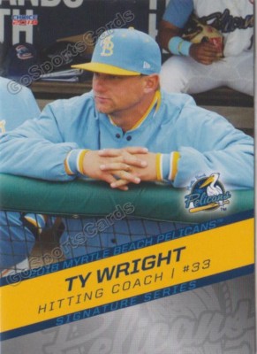 2018 Myrtle Beach Pelicans Ty Wright HC Chicago Cubs Minor | eBay
