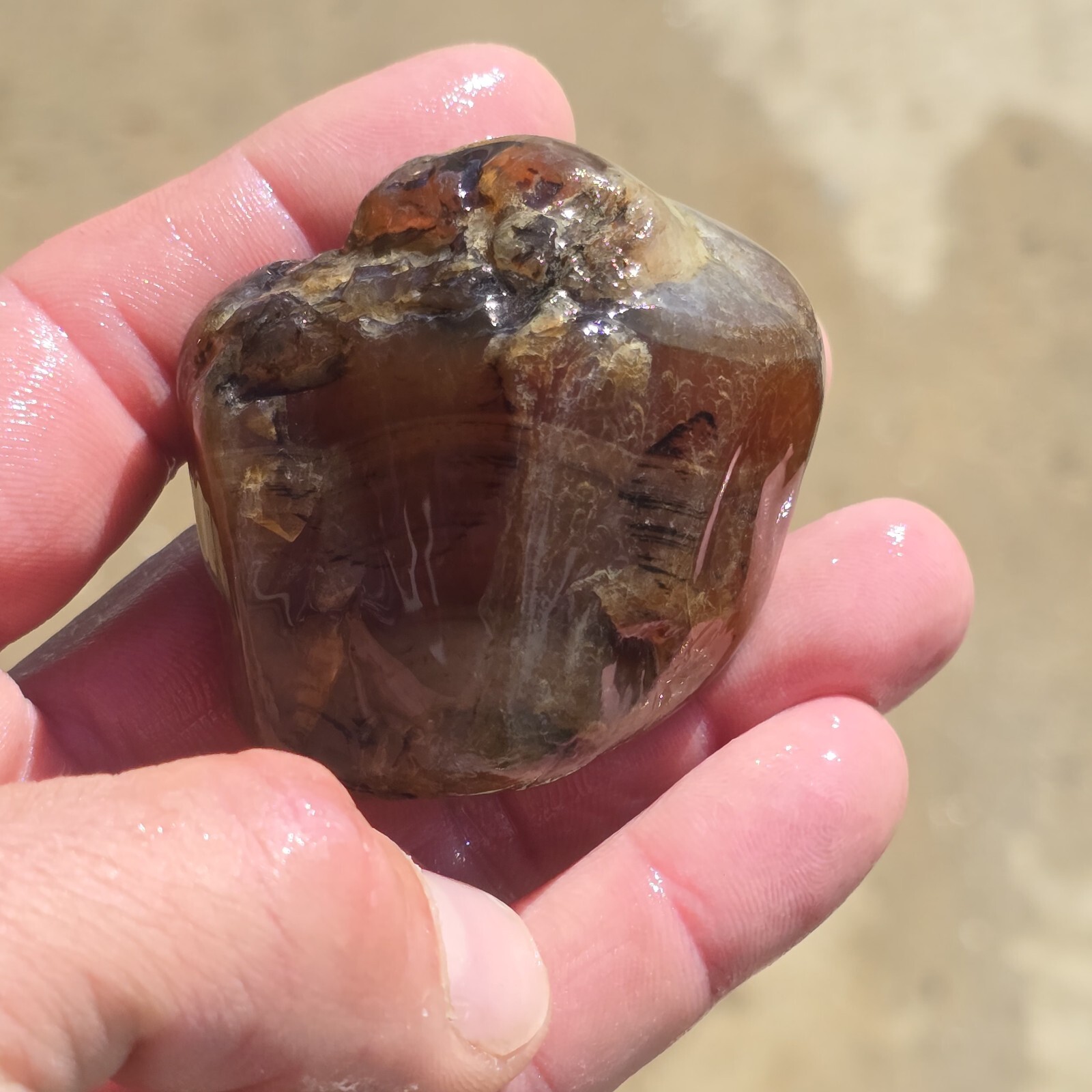 Montana Moss Agate | eBay