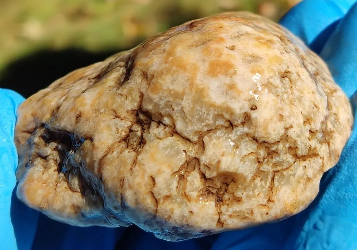 Keokuk Geode Tennessee Jasper Agate Specimen Chert Crystal Gem ...