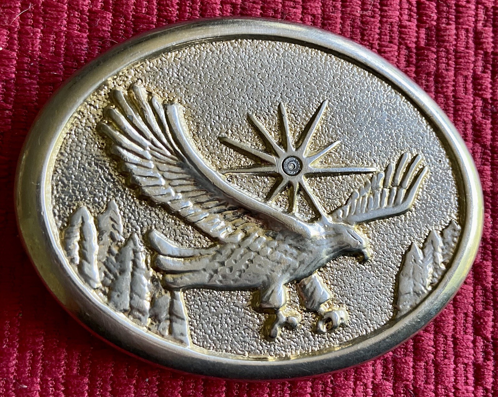EAGLE SWOOPING HAWK STAR SUN RAYS SHINING MOUNTAINS B… - Gem