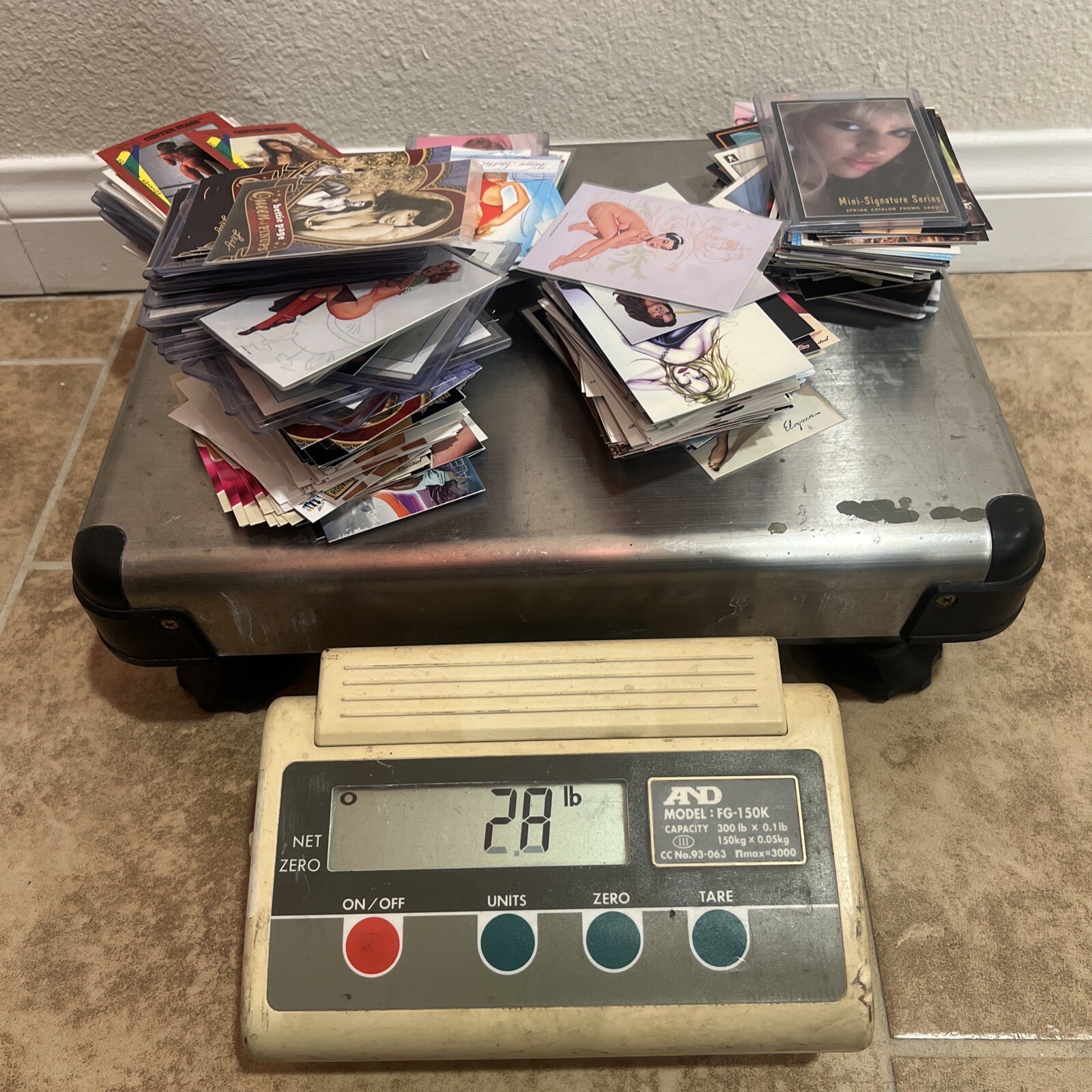 Bundle Lot Of Benchwarmer Trading Cards Sexy Girls | eBay