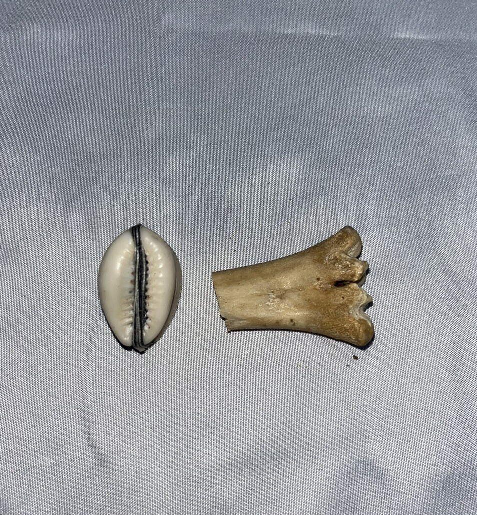 Dilogun, igbo Divination tools Ibo Ifa cowries Santeria Orunmila Orula ...