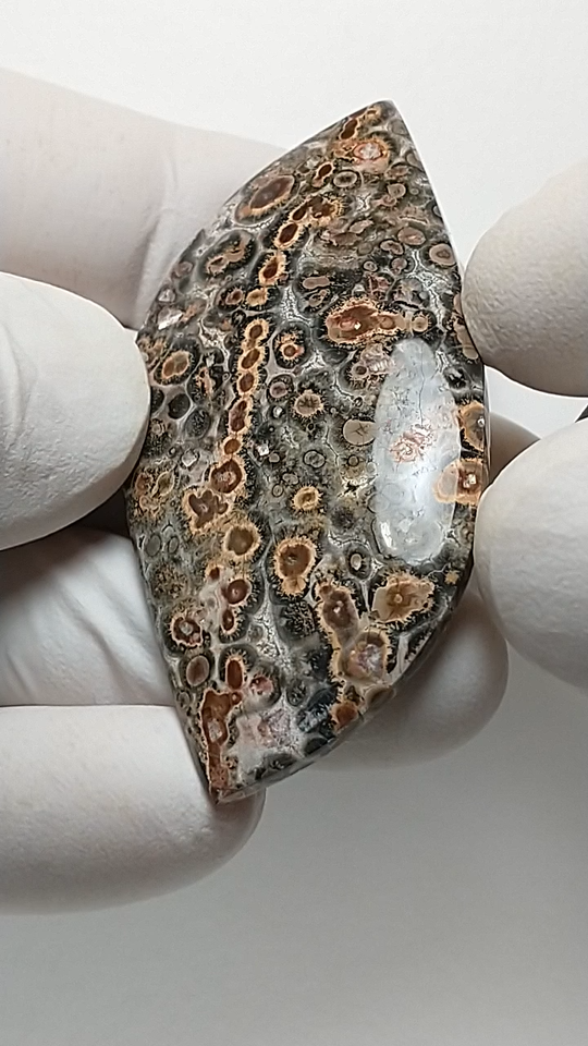 Leopard Skin Jasper Cabochon Large | eBay