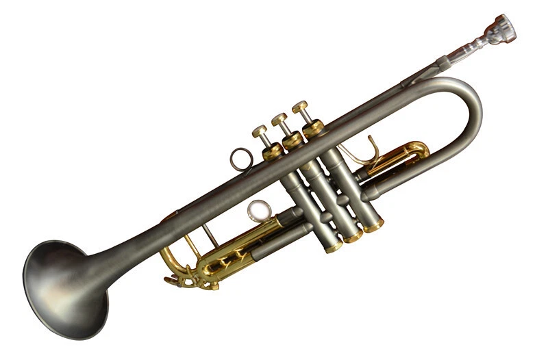 Silver And Gold Trumpet
