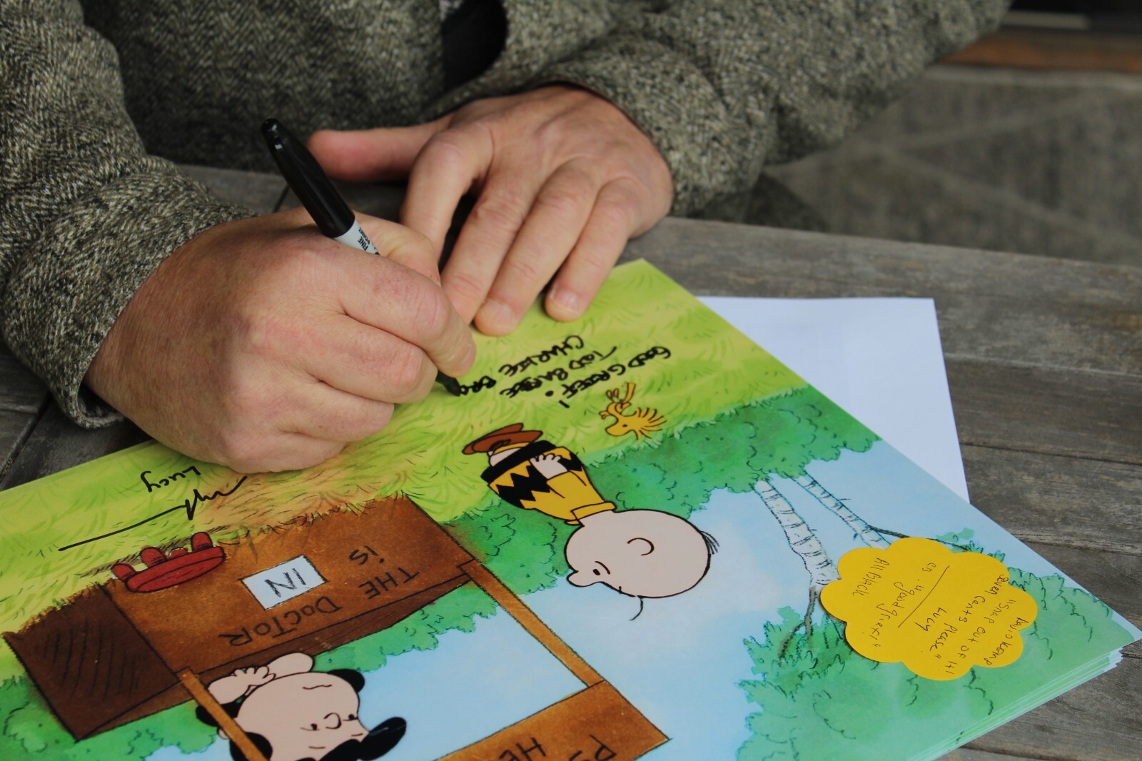 Todd Barbee & Melanie Kohn Signed Charlie Brown Lucy Peanuts ...