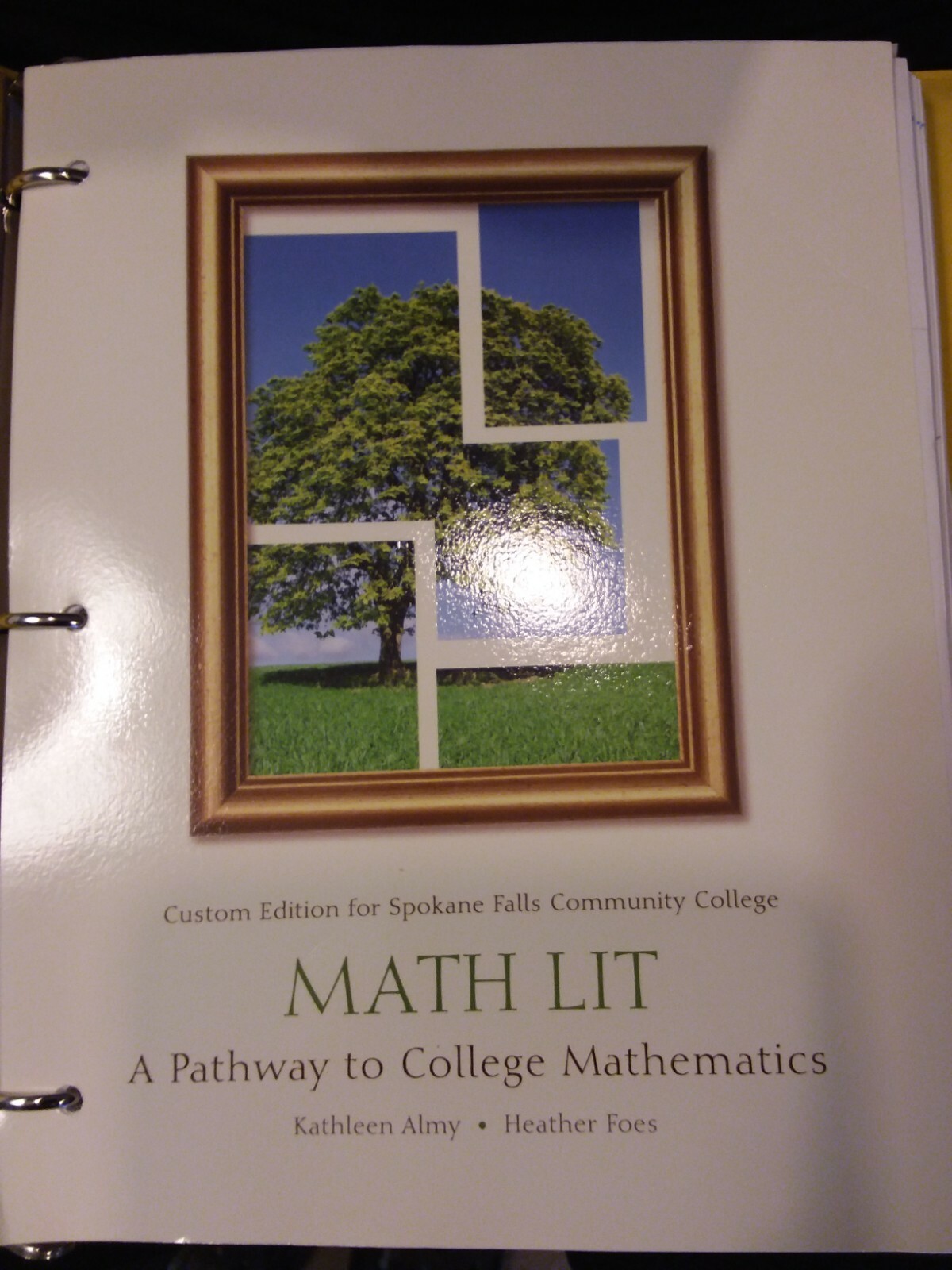 Math Lit - A Pathway to College Mathematics Looseleaf | eBay