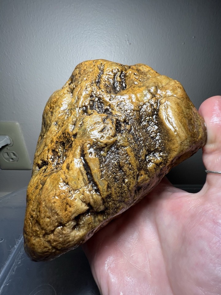 4lb .9oz Lake Superior Cold Water Agate Large Rough Display Specimen ...