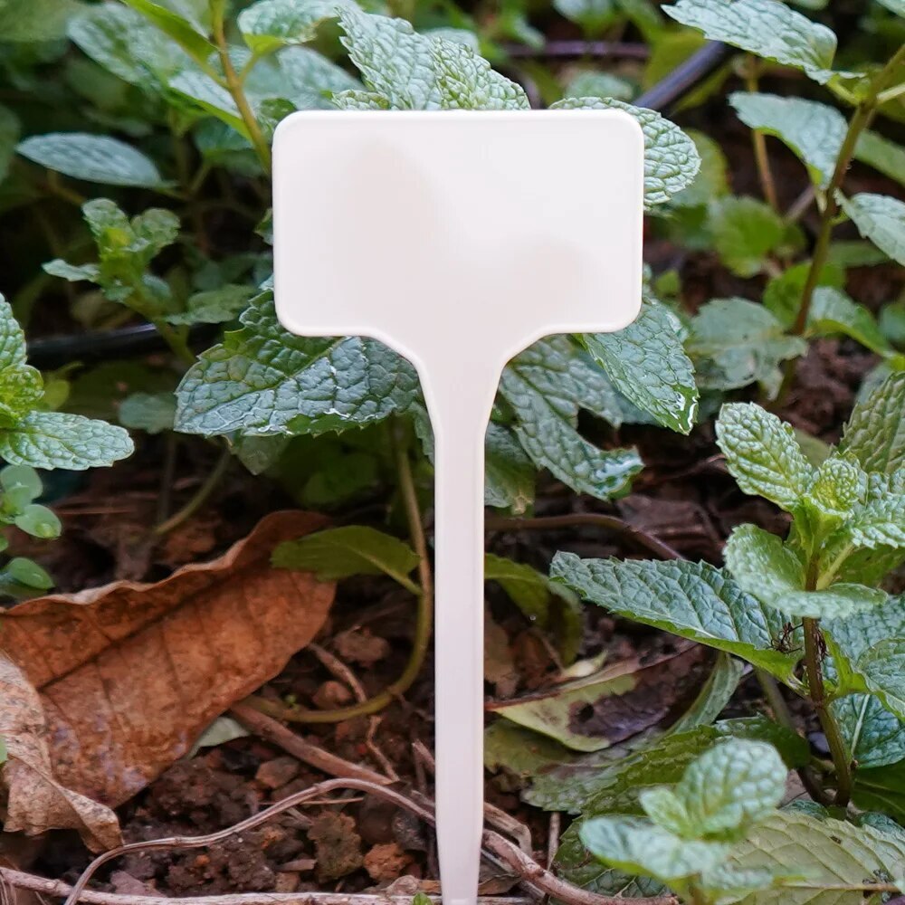 Plant Labels Flexible Plastic Garden T-type Tags Nursery Seeding Marker ...