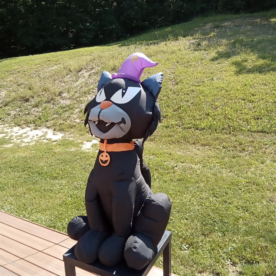 Vintage Halloween Airblown Inflatable Black Cat Gemmy 2000s | eBay
