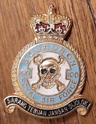 Insigne RAF 100 Squadron Royal Air Force vintage ORIGINAL Anglais GB UK ...