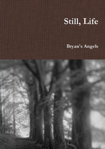 Still, Life by Bryan's Angels (English) Paperback Book 9780244794897 | eBay