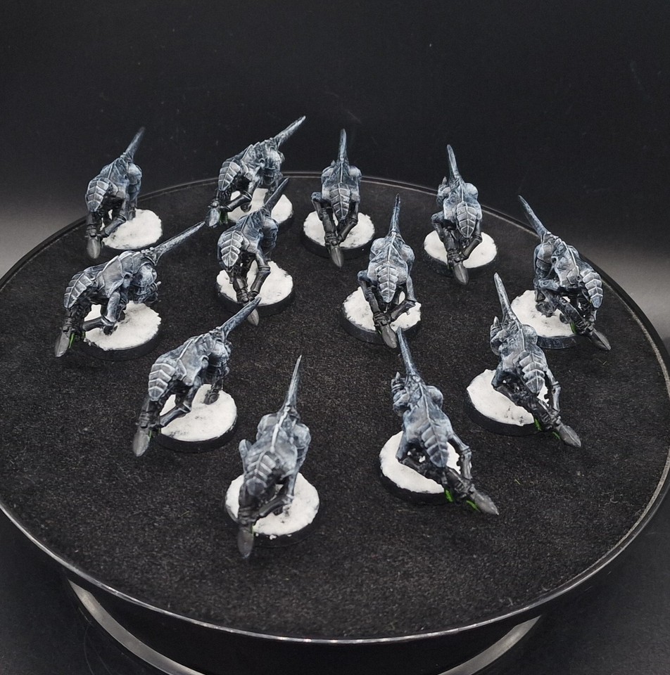 Well Painted Warhammer 40k Tyranid Termigants ×12 A3 games workshop ...