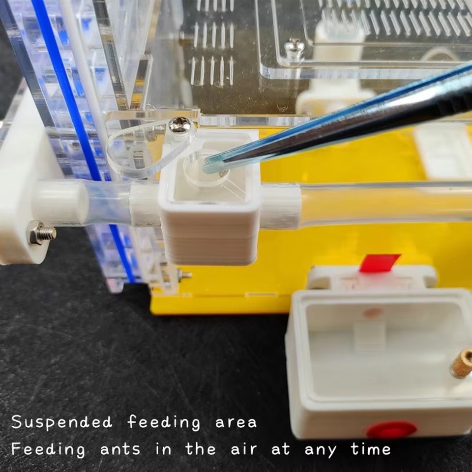 T DIY Ant Farm with Feeding Area Acryl Ant Nest Insect Ant House ...