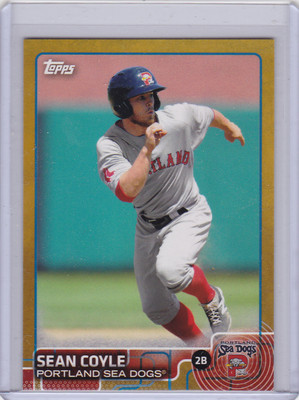 SEAN COYLE PORTLAND SEA DOGS 2015 TOPPS PRO DEBUT GOLD BASEBALL CARD ...