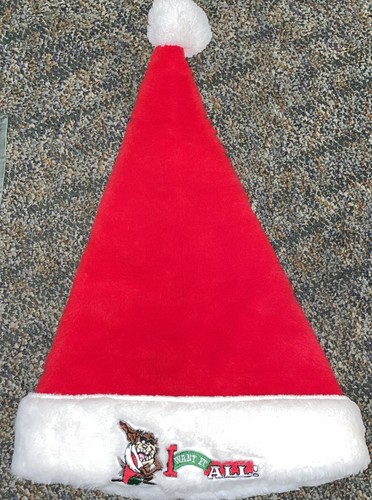 Taz Santa Hat Tasmanian Devil Kids Christmas Warner Brothers Studio ...