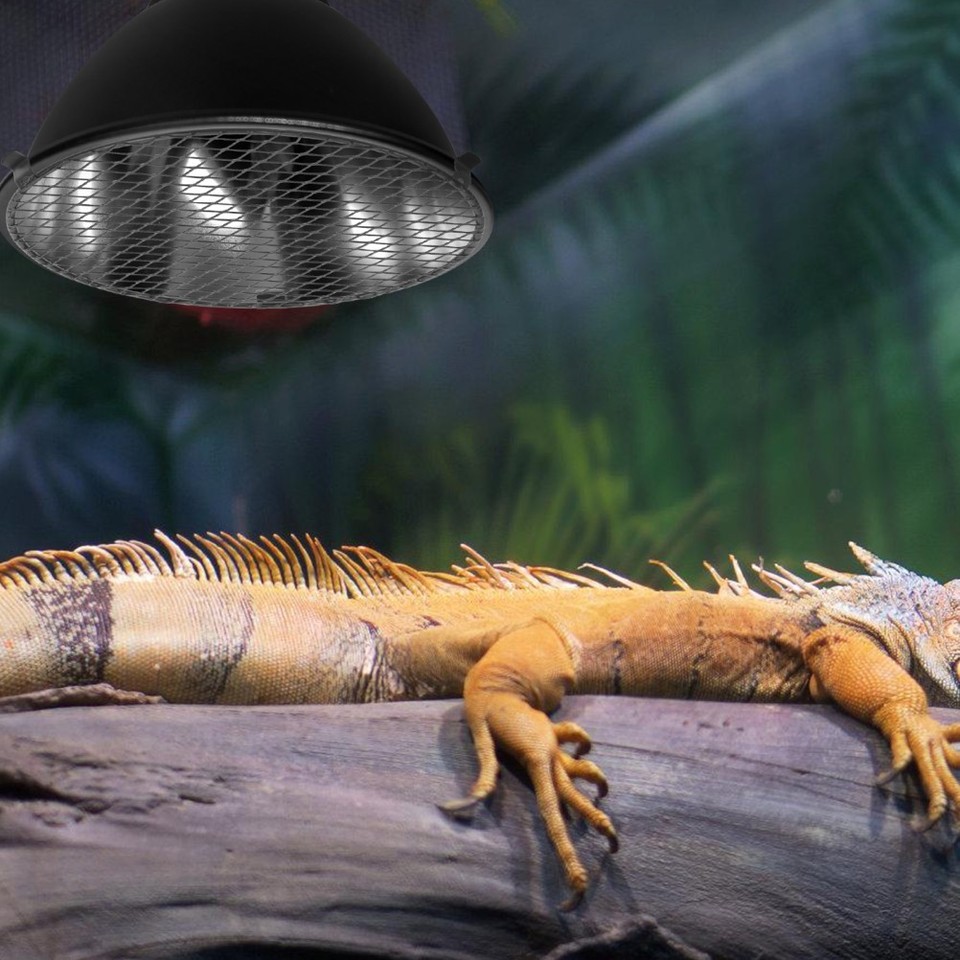 Reptile Enclosure Heat Lamp Cover Iron Mesh Guard Safety Mesh for ...