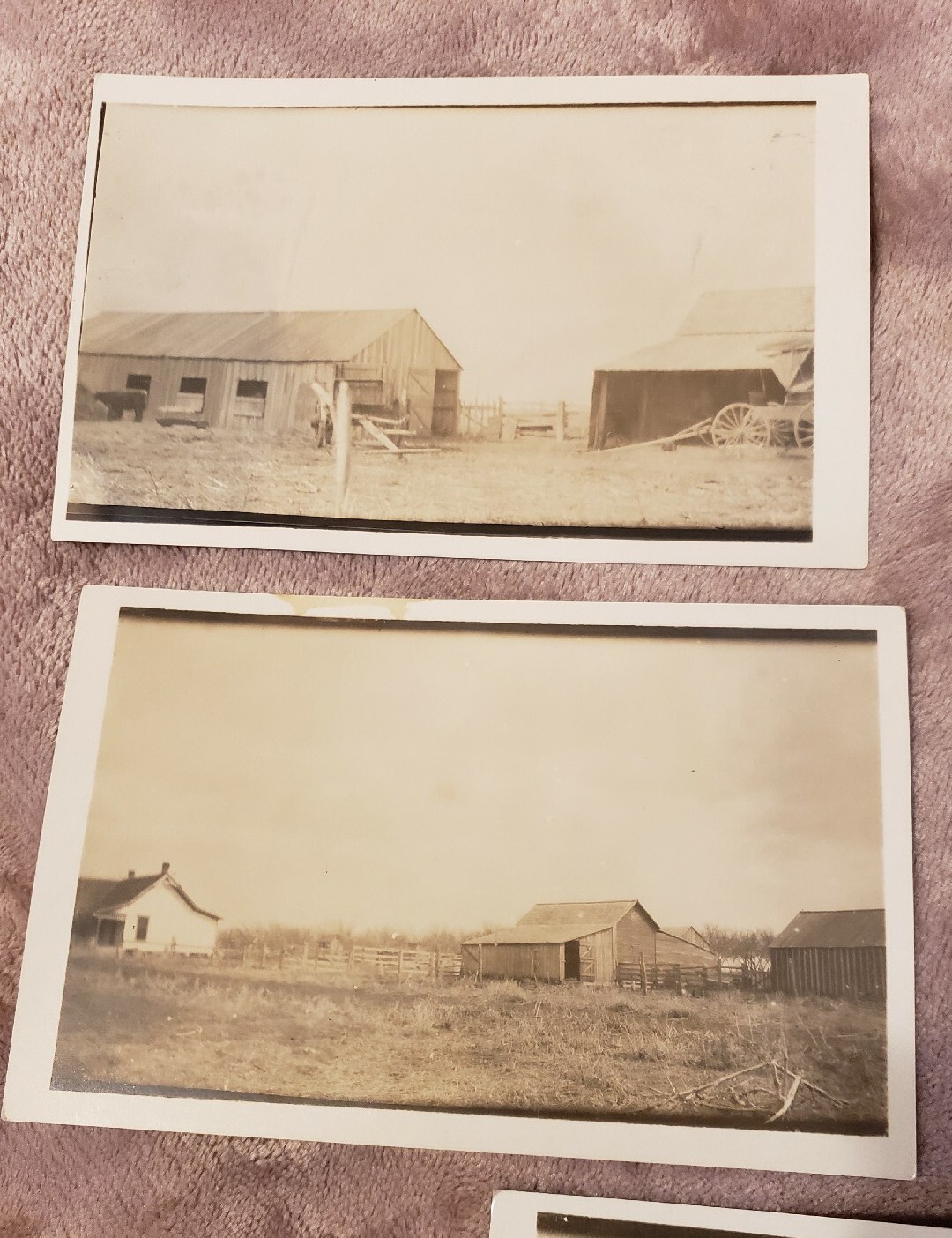RARE Early Homestead, 1915. Metzler Estate. | eBay