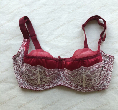 Red Lana 40D Cabaret Plunge Bra Bra by Secrets In Lace NIP Red Style ...