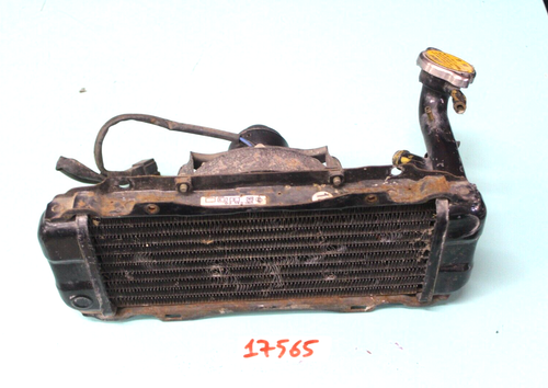 Radiator Kymco Dink LX 125 150 | eBay UK