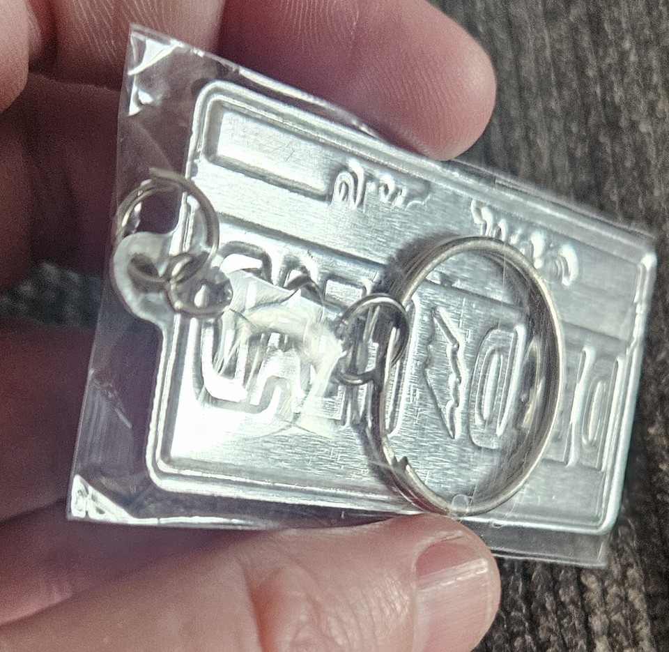 Grateful Dead Miniature Replica Dead Head California Tag Keychain ...