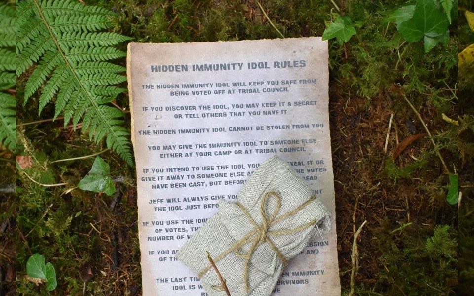 Survivor Hidden Immunity Idol Season 20: Heroes Vs Villains (Free ...