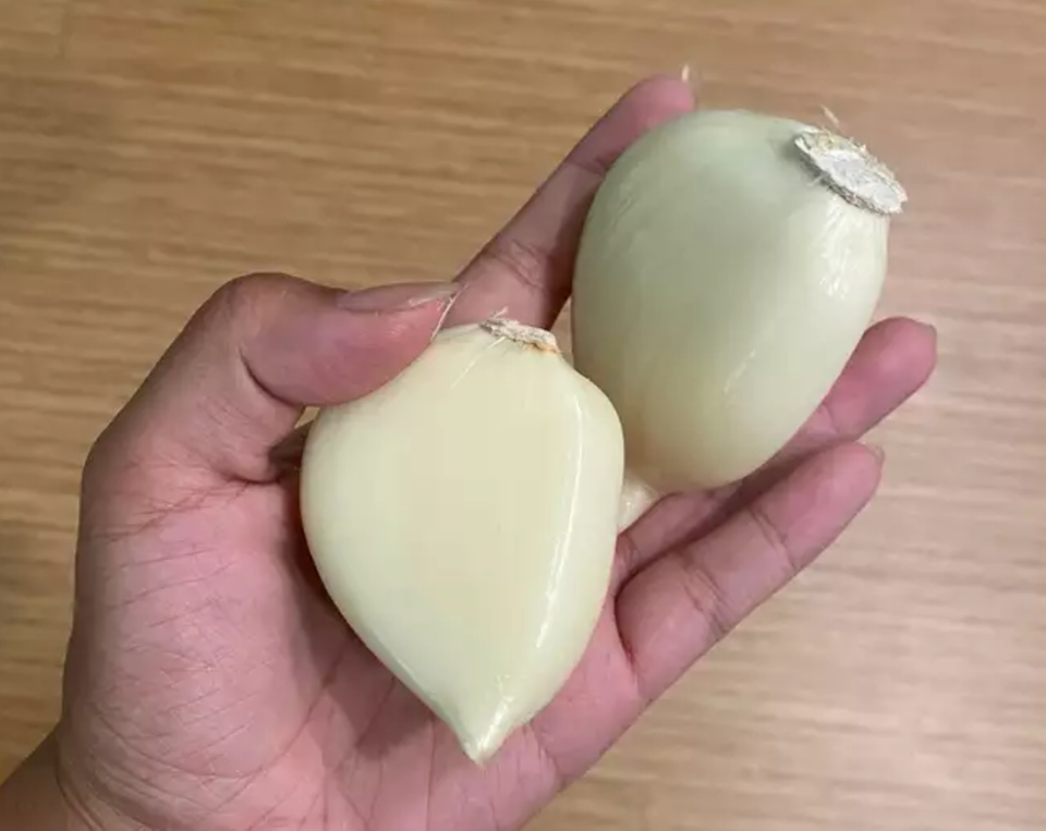 Garlic, Elephant Garlic Corms Fresh harvest healthy USA garlic corms ...