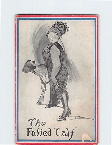 Postcard The Fatted "Calf" Joke/Humor Art Print | eBay